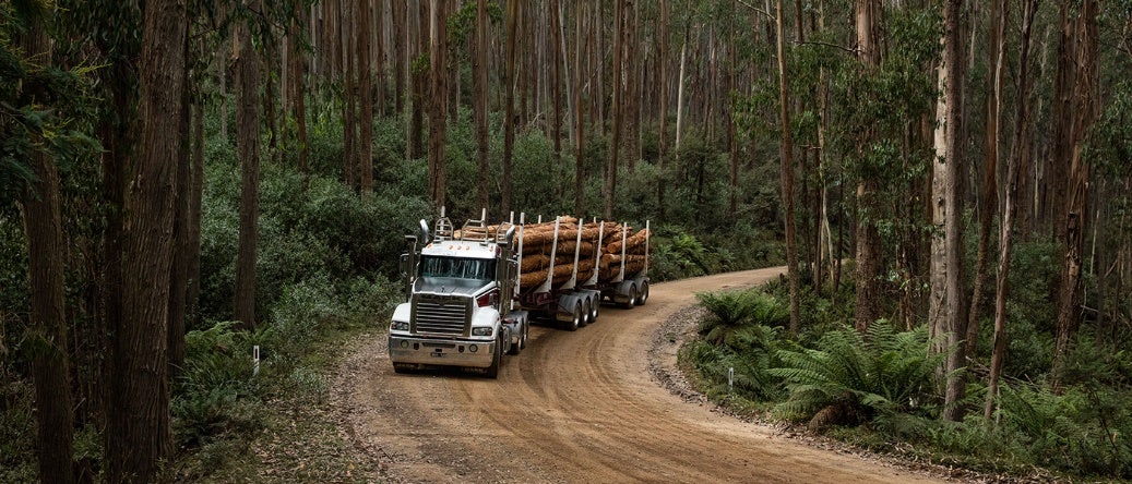 Boss Logging Super Liner Review