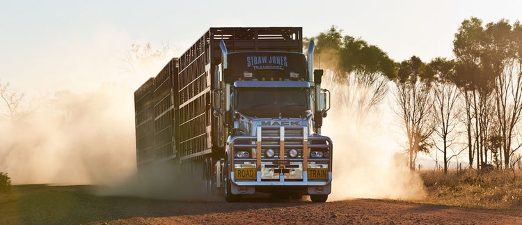 Straw Jones Livestock Super-Liner Review